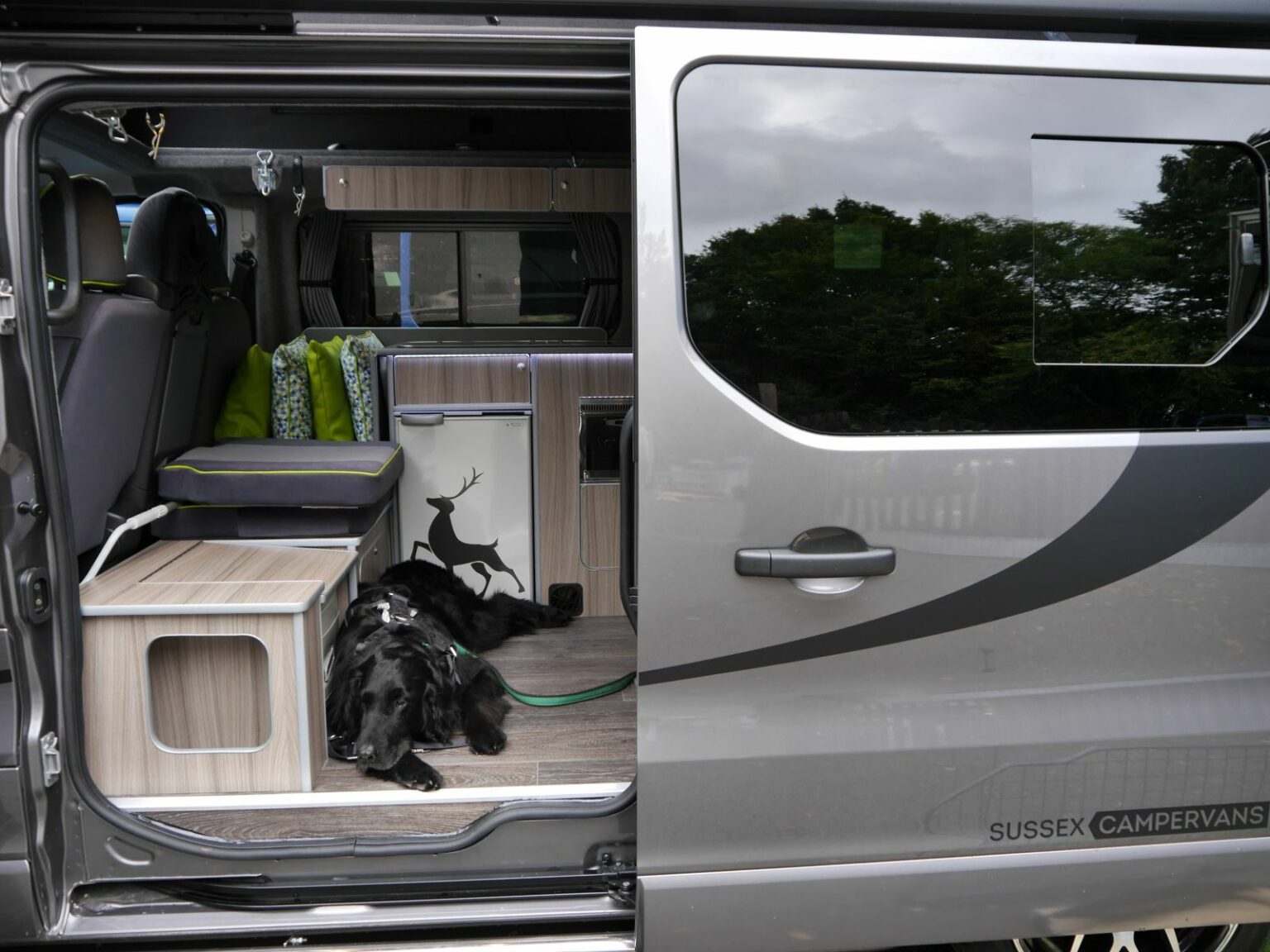 Campervan Holidays With Your Dog | A Short Guide