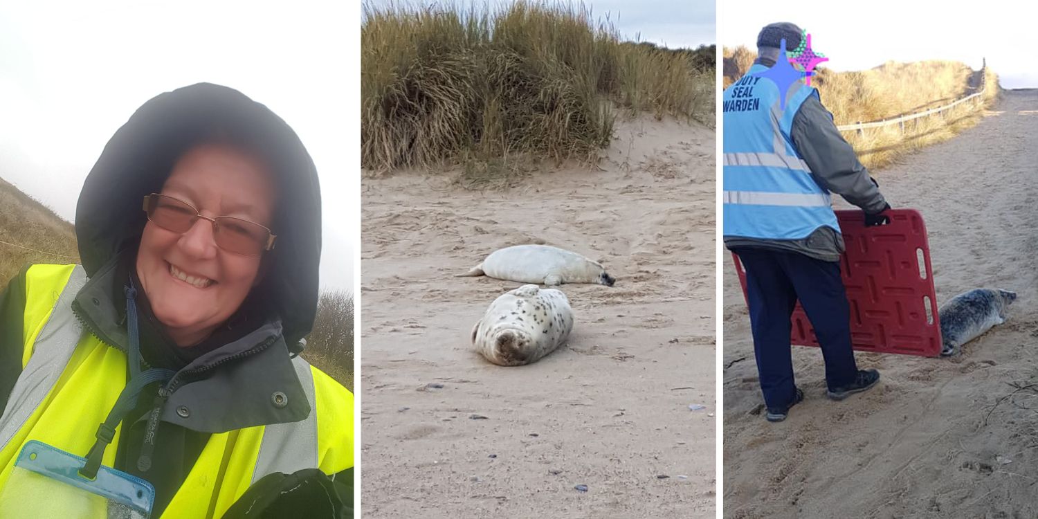 Going Solo - Sussex Campervans